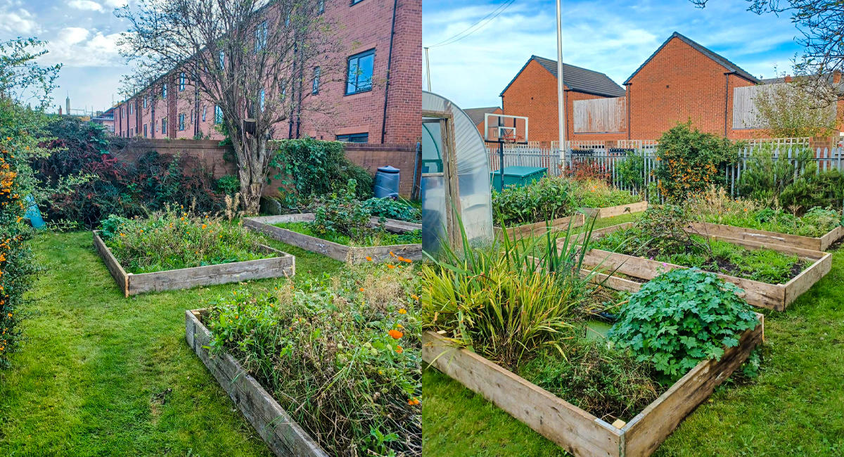 Local homeless charity, Justlife, get stunning new garden space ...